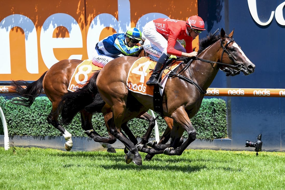 Racing Insights, Breeding Pack News, Trainer Features, and More! - BTX ...